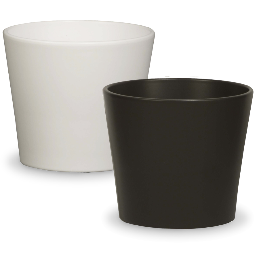 Calypso Pot | Sunshine Garden Center and The Flower Room