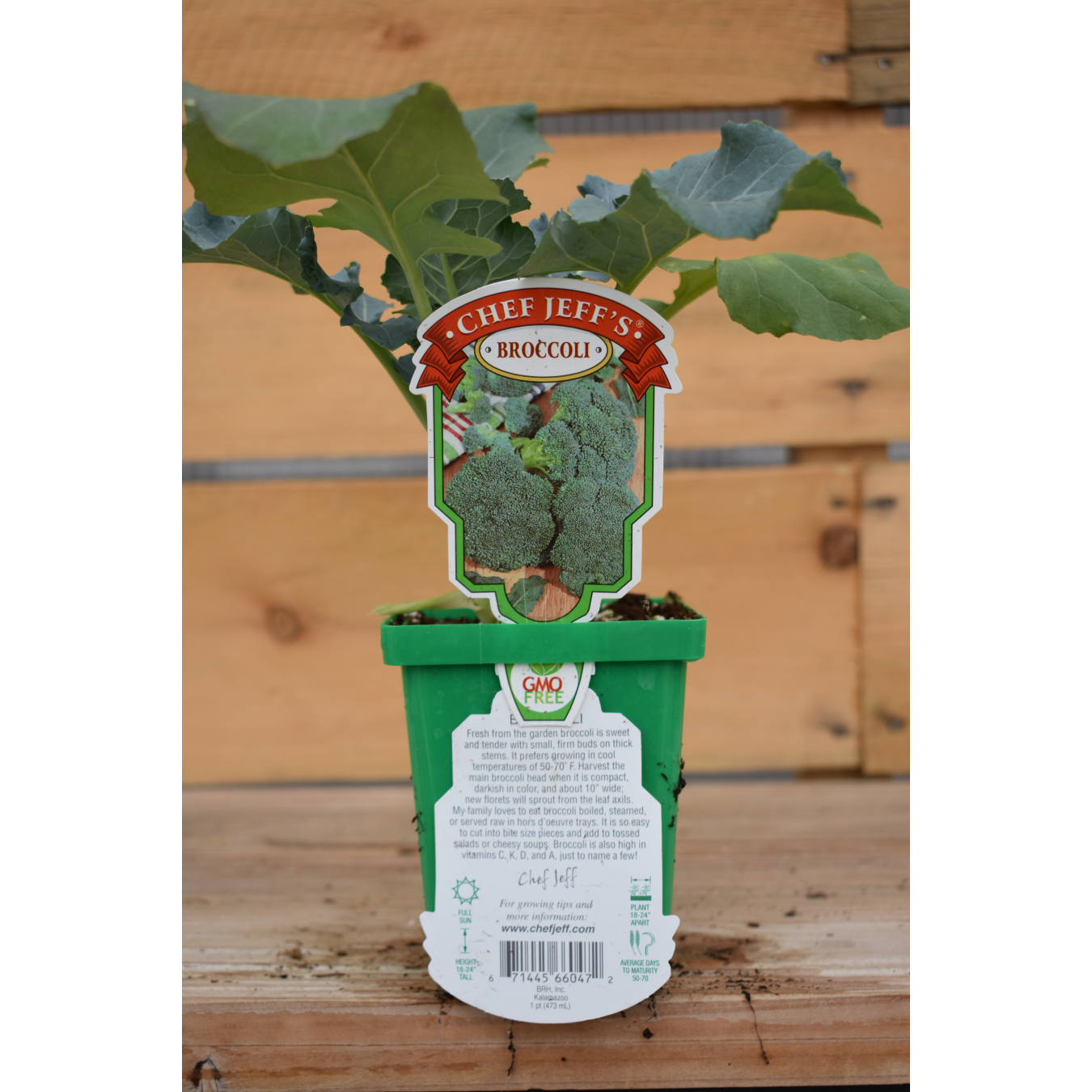 Broccoli Sunshine Garden Center And The Flower Room