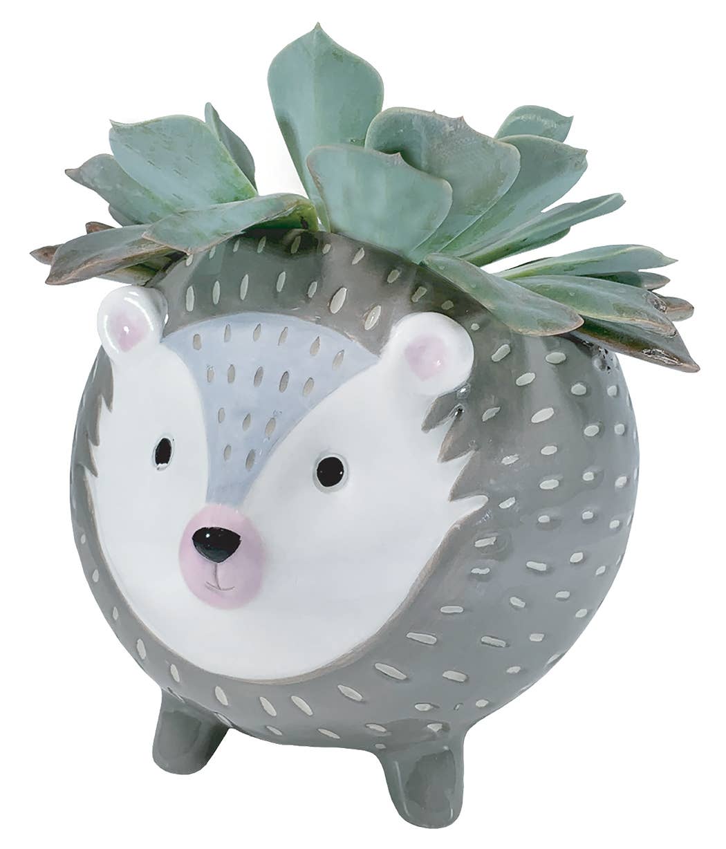 Streamline - Hedgehog Planter | Sunshine Garden Center and The Flower Room