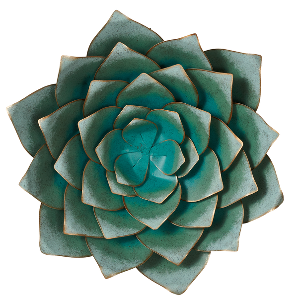 Layered Succulents- Medium | Sunshine Garden Center and The Flower Room