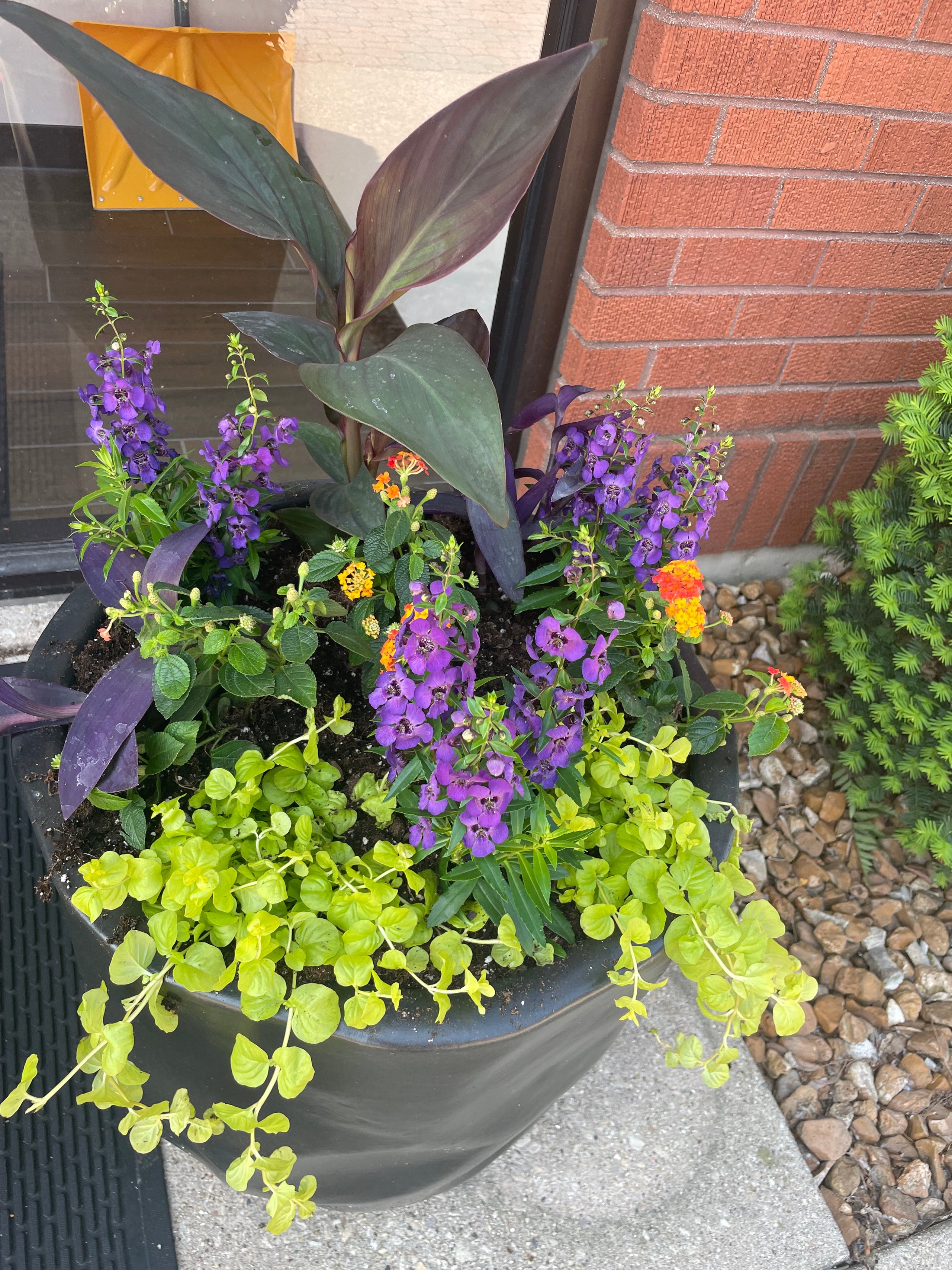 Spring Mixed Containers Class | Sunshine Garden Center and The Flower Room